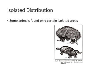Animal distribution on earth | PPTX