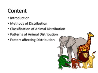Animal distribution on earth | PPTX