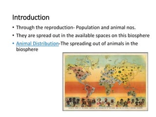 Animal distribution on earth | PPTX