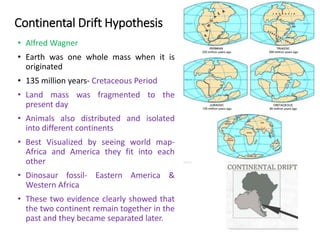 Animal distribution on earth | PPTX