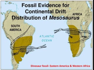 Animal distribution on earth | PPTX