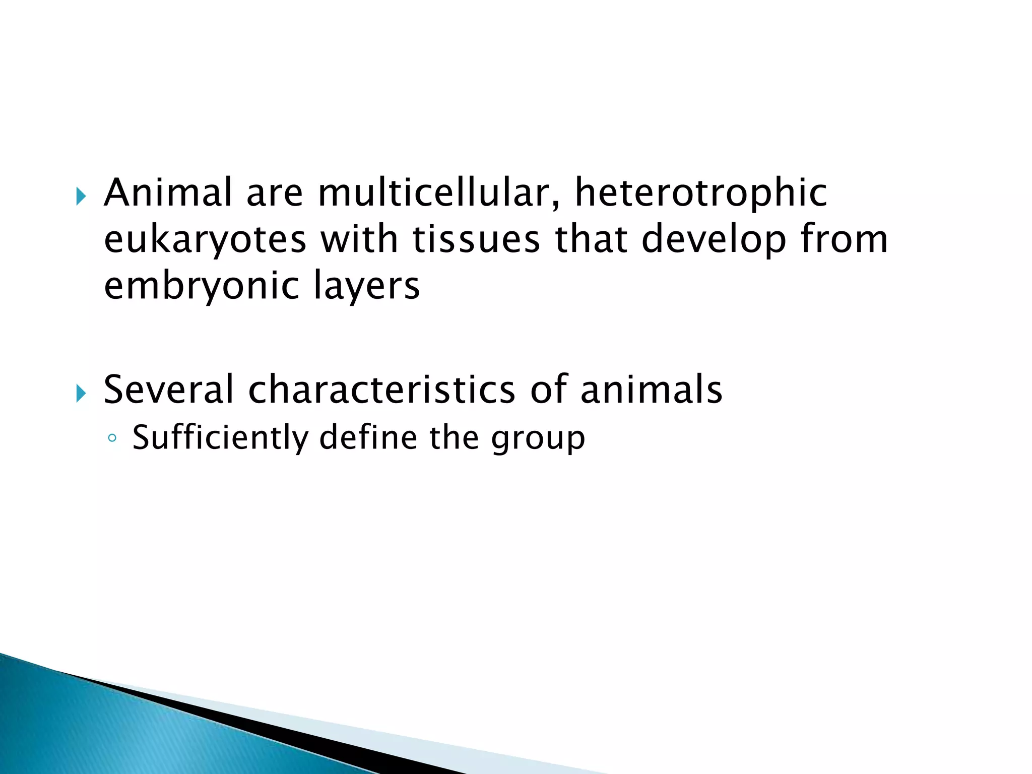 Animal diversity | PPTX