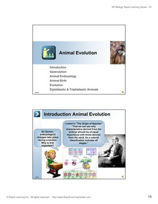 Animal diversity | PDF
