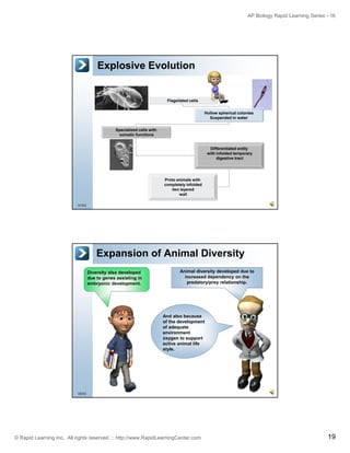 Animal diversity | PDF | Biological Sciences | Science