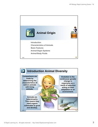 Animal diversity | PDF | Biological Sciences | Science