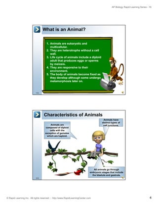 Animal diversity | PDF | Biological Sciences | Science