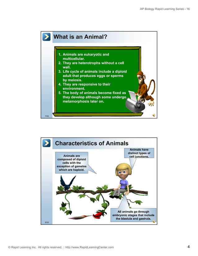 Animal diversity | PDF | Biological Sciences | Science