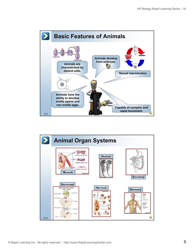 Animal diversity | PDF | Biological Sciences | Science