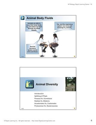 Animal diversity | PDF | Biological Sciences | Science