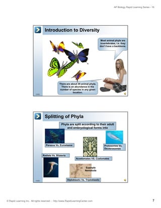 Animal diversity | PDF | Biological Sciences | Science