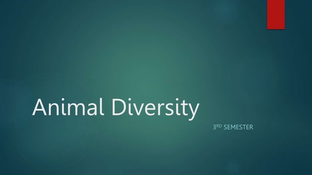Presentation on animal diversity and classification | PPT