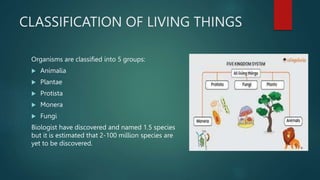 Presentation on animal diversity and classification | PPTX