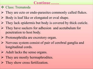 ANIMAL DIVERSITY I CHAP 7.pptx