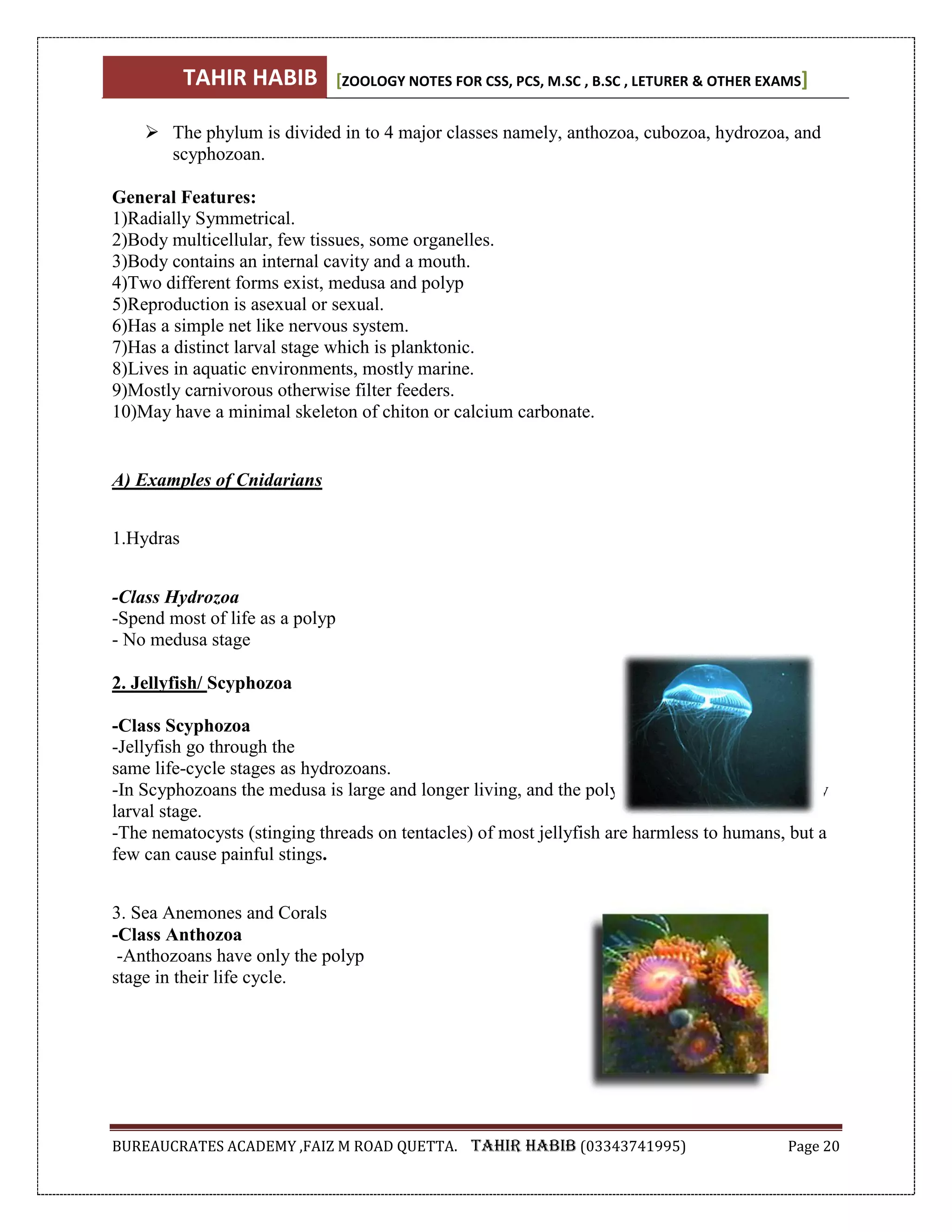 Animal diversity (Zoology) notes | PDF