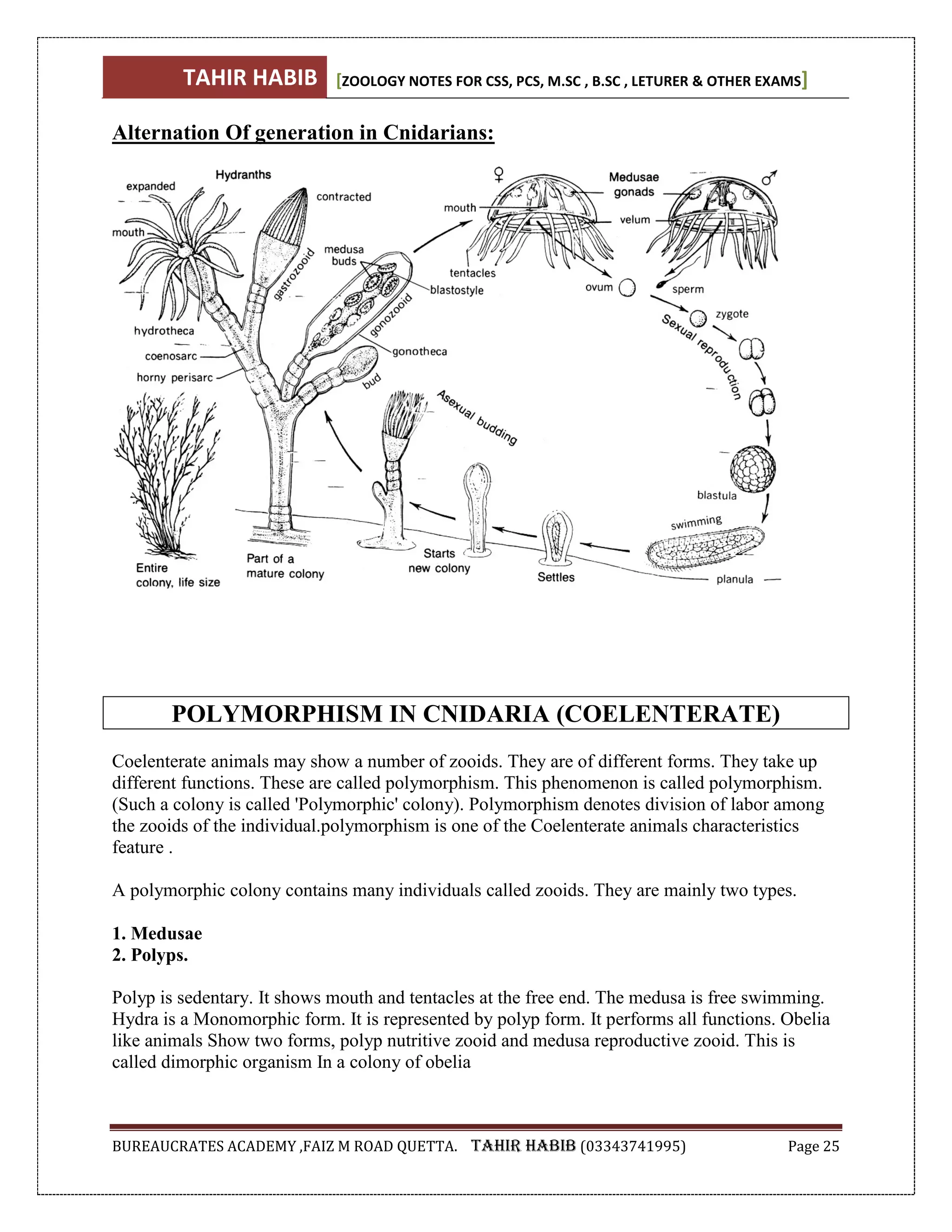 Animal diversity (Zoology) notes | PDF