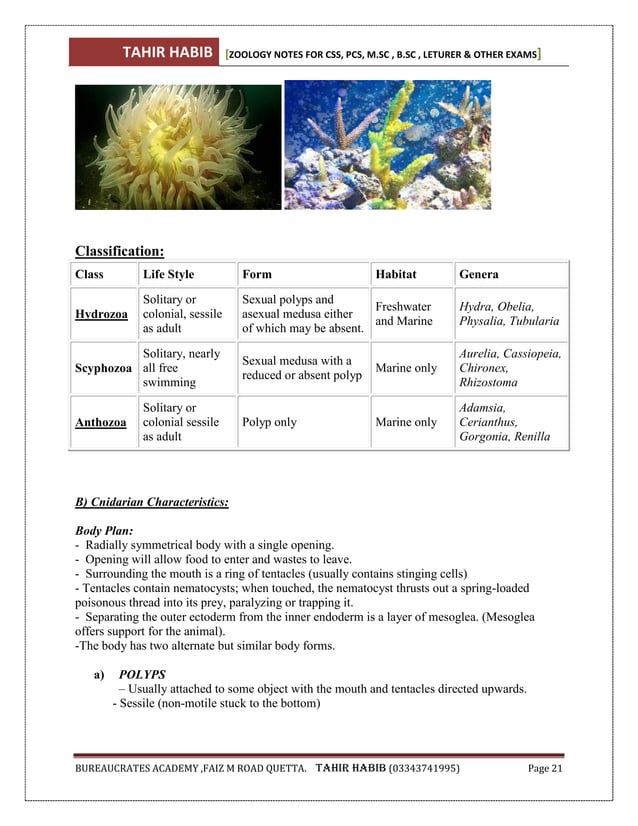Animal diversity (Zoology) notes | PDF