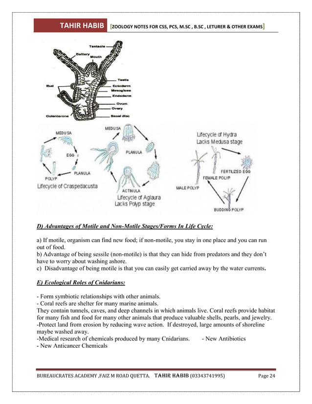 Animal diversity (Zoology) notes | PDF