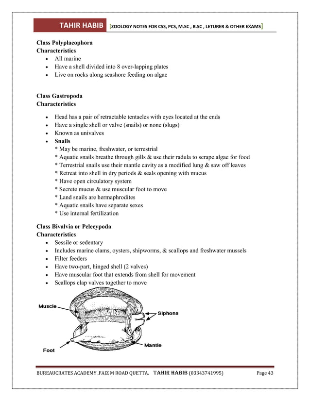 Animal diversity (Zoology) notes | PDF