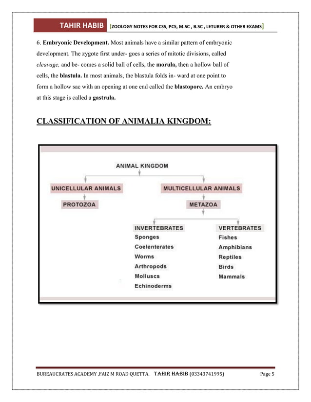 Animal diversity (Zoology) notes | PDF