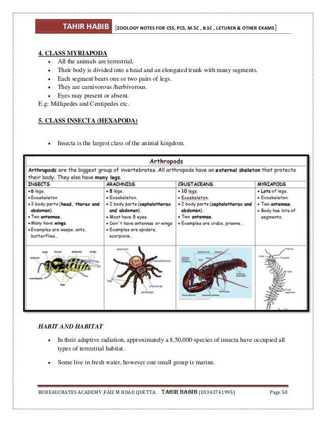 Animal diversity (Zoology) notes