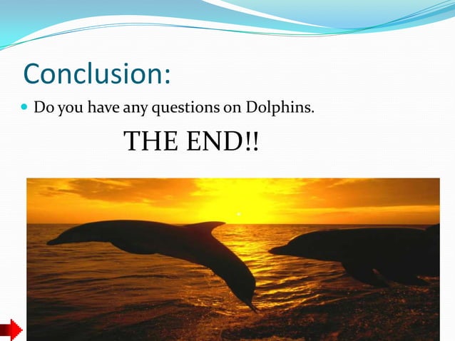 Animal, dolphin powerpoint | PPTX | Zoos & Aquariums | Attractions