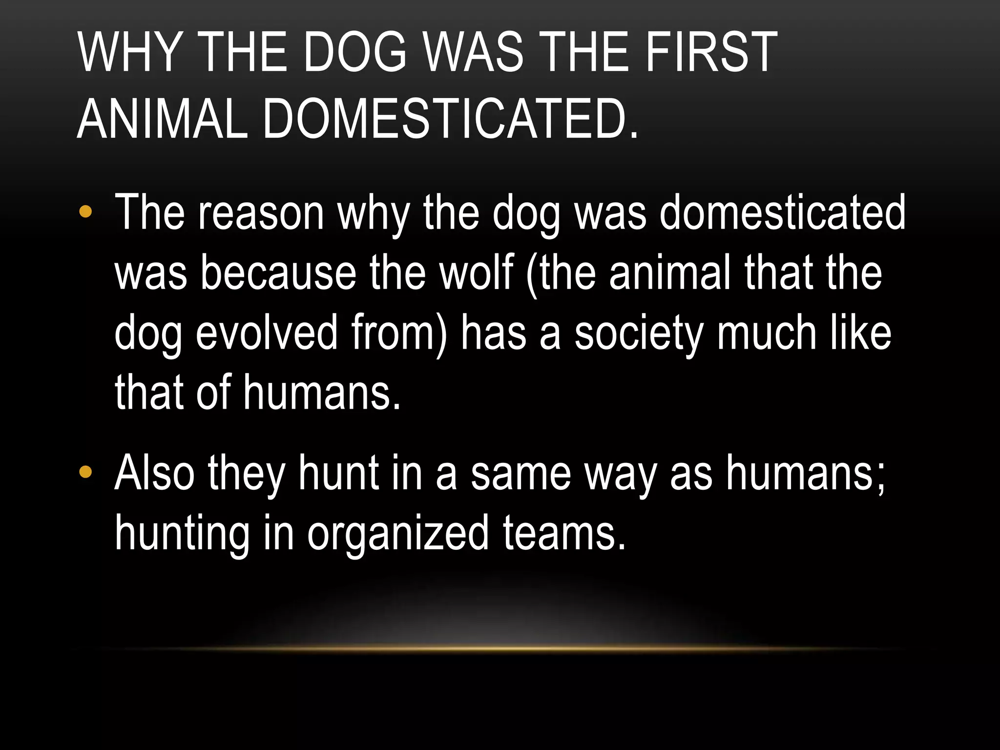 Animal domestication 1B | PPTX