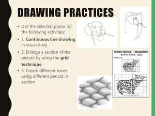 Animal drawing year 7 2018 1 | PPTX