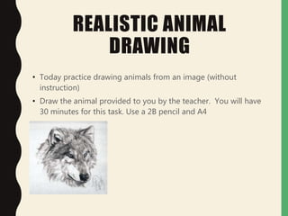 Animal drawing year 7 2018 1 | PPTX