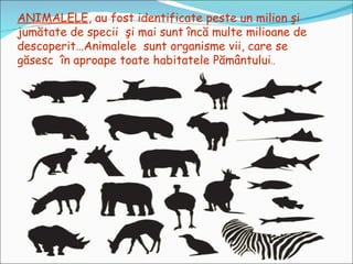 Animale | PPT