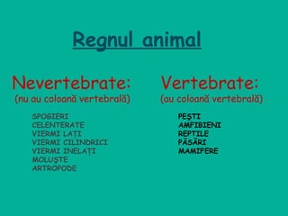 Animale | PPT
