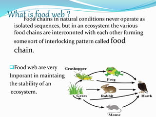 Animal ecology | PPTX