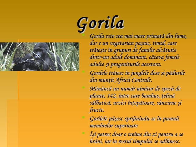 Animale din africa | PPT