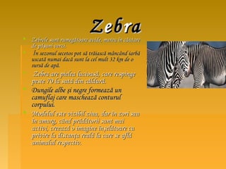 Animale din africa | PPT