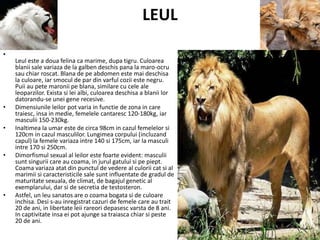 ANIMALE DIN AFRICA.pptx