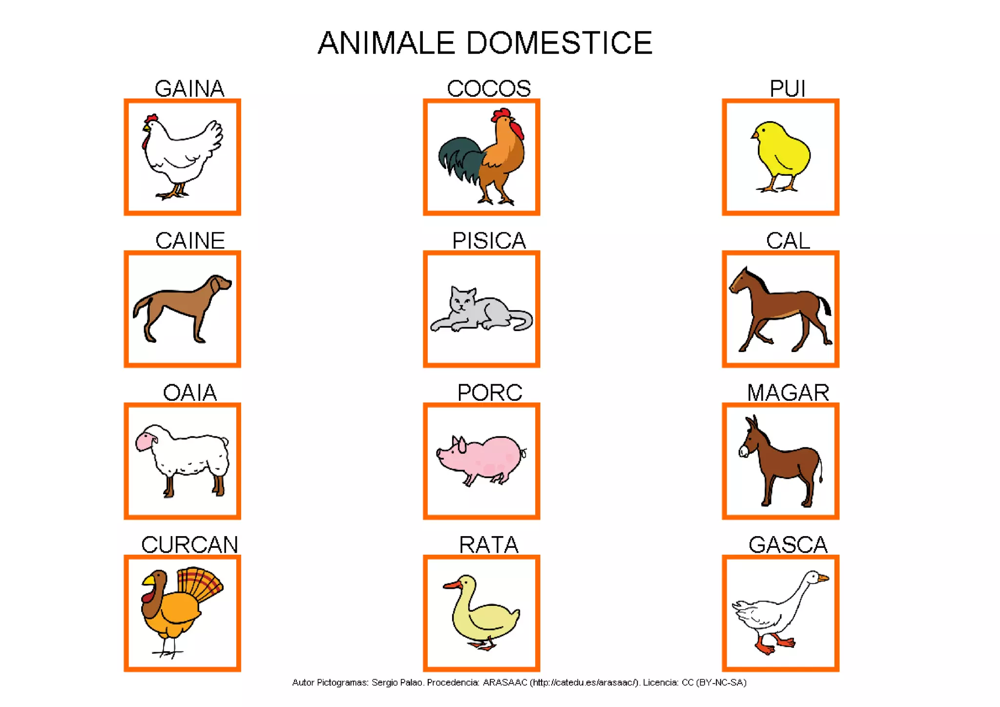 Animale domestice | PDF