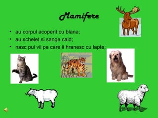Animalele | PPT