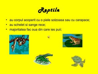 Animalele | PPT