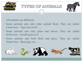 Animal encyclopedia | PPTX