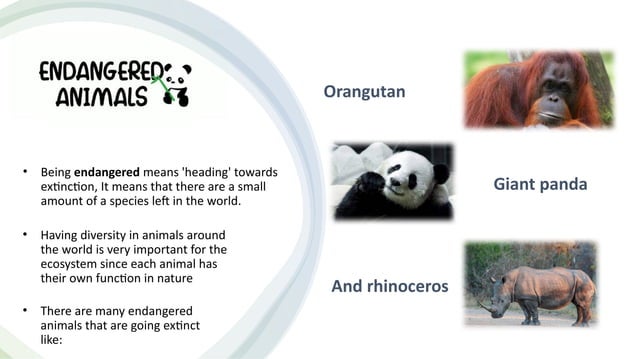 Powerpoint on Animal Endangerment Y9 Social studies | PPTX