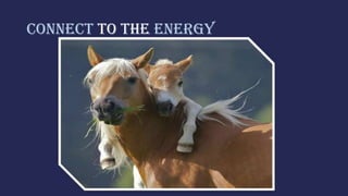 Animal Energy World | PPSX