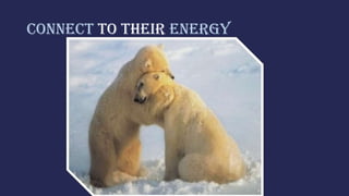 Animal Energy World | PPSX