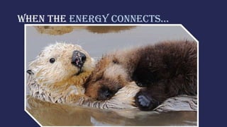 Animal Energy World | PPSX