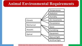 Environmental requirements for livestock housing | PPTX