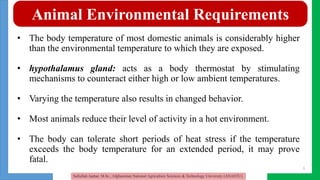 Environmental requirements for livestock housing | PPTX