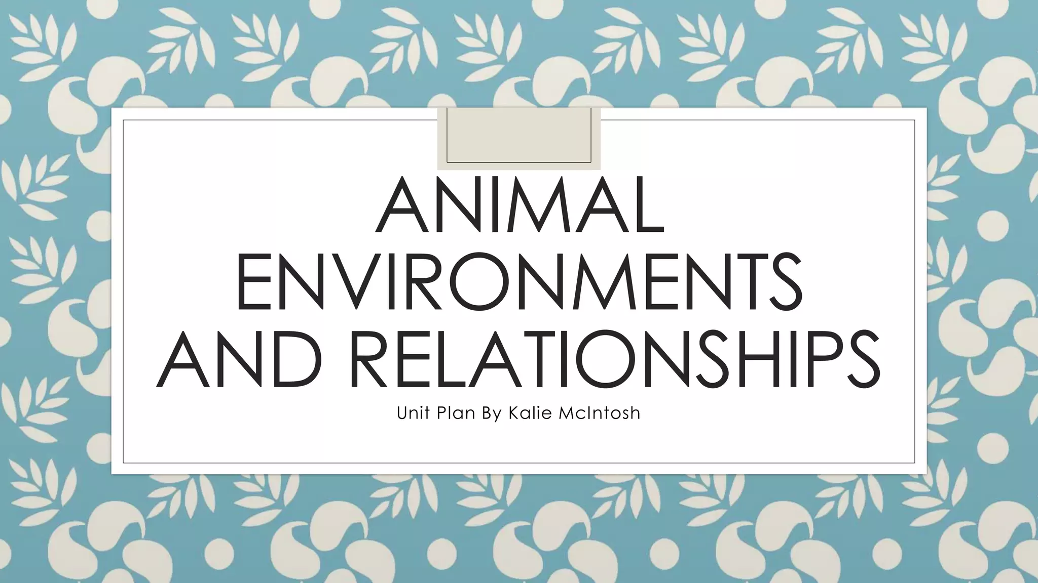 Animal environments and relationships unit plan pp ci 350 | PPTX