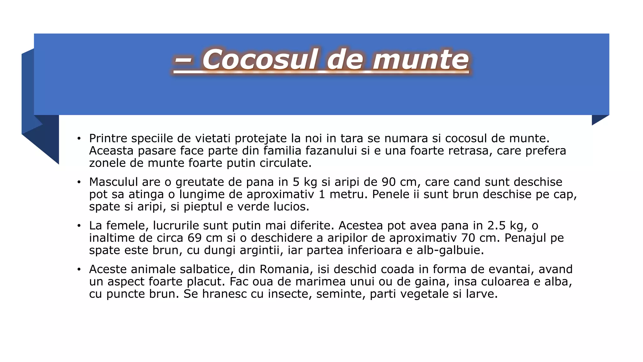 Animale ocrotite de lege | PPTX