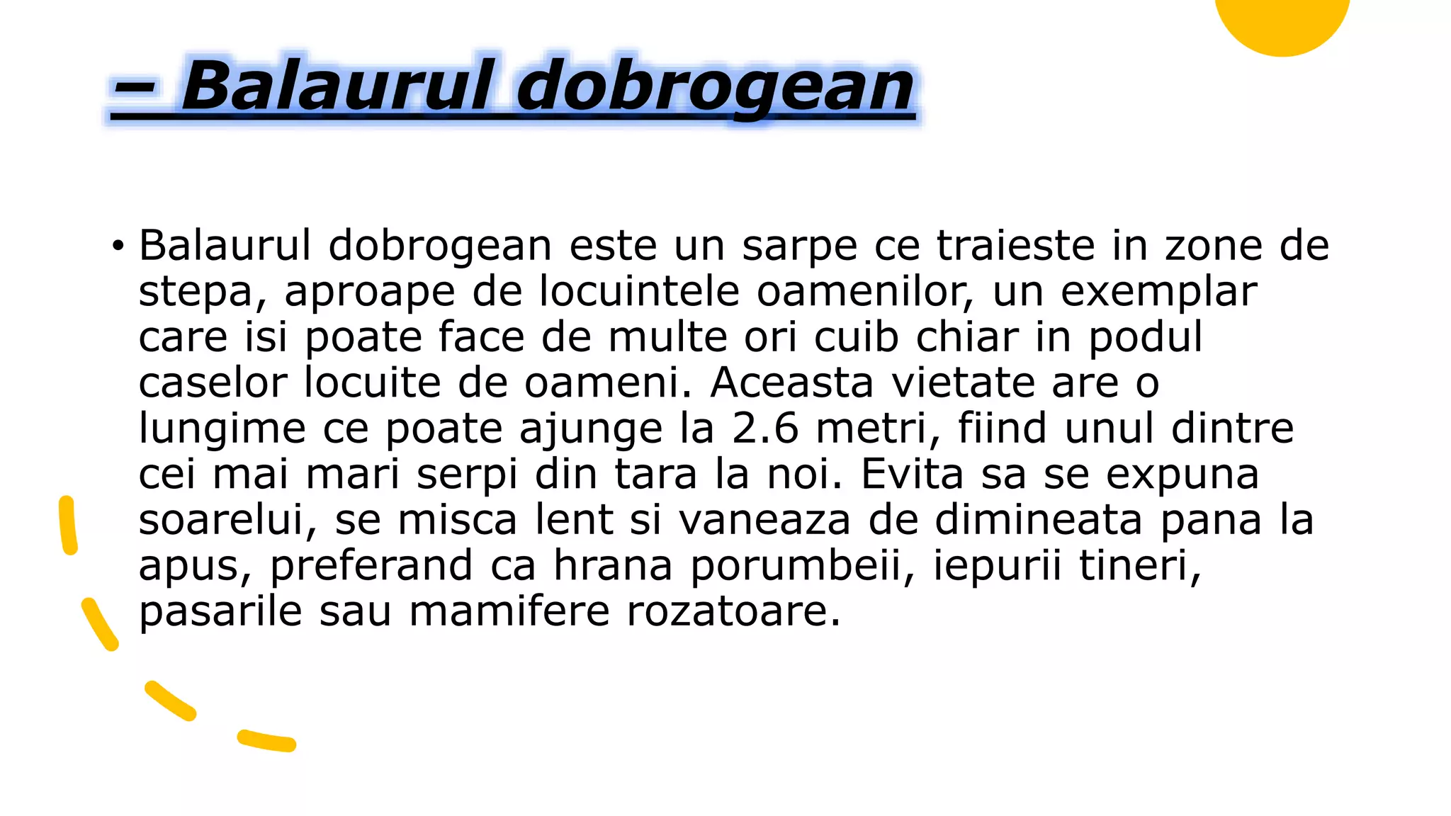 Animale ocrotite de lege | PPTX