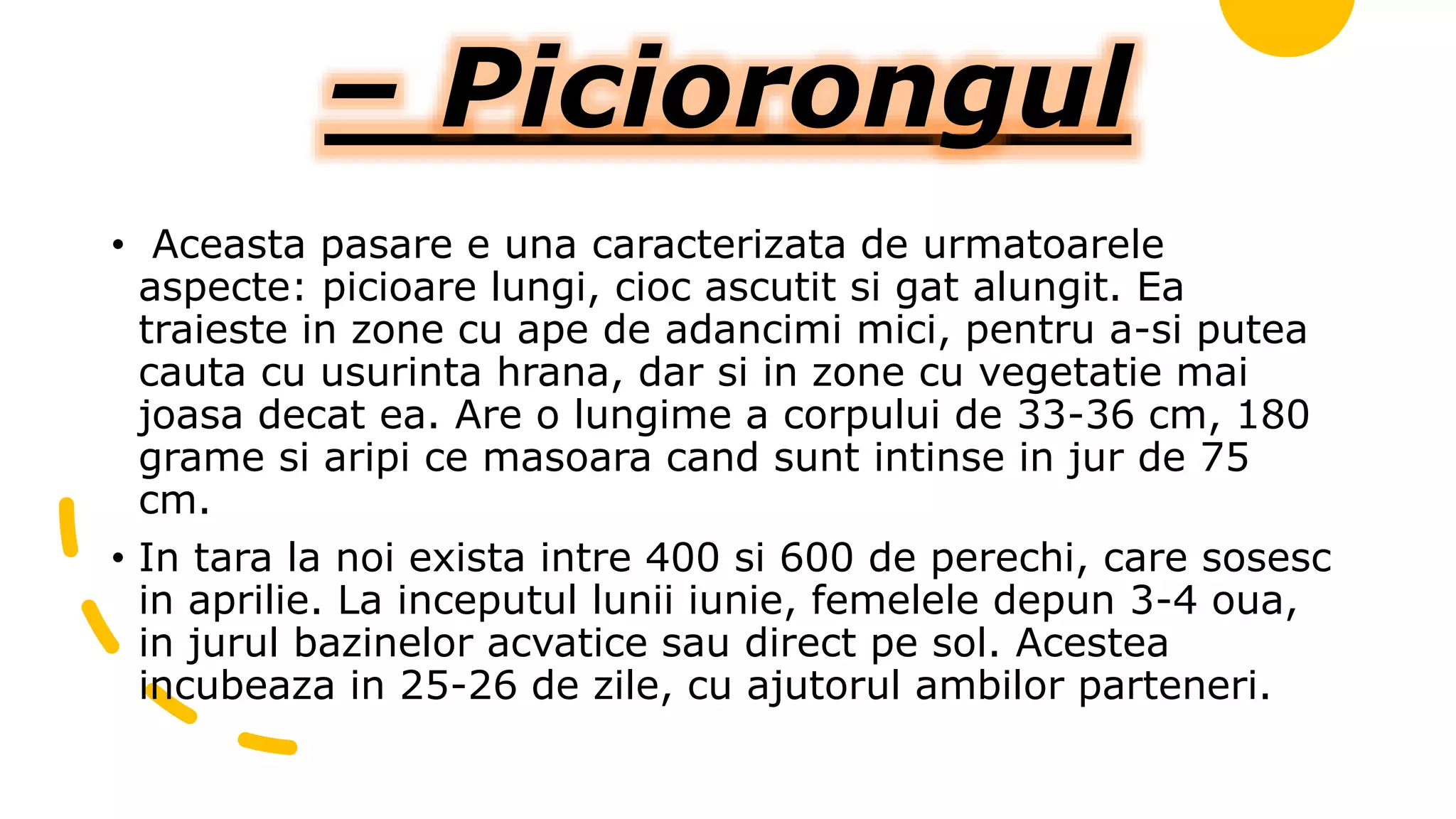 Animale ocrotite de lege | PPTX