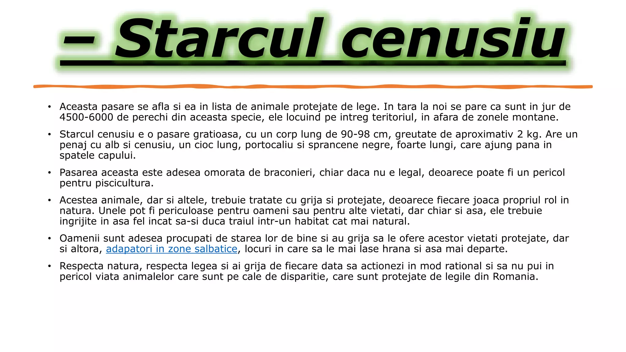 Animale ocrotite de lege | PPTX