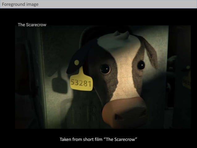 Animal equality | PPT